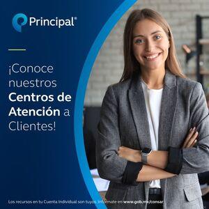 ¿Qué es Principal Afore? Descubre sus Fondos de Inversión, AFORE y ...